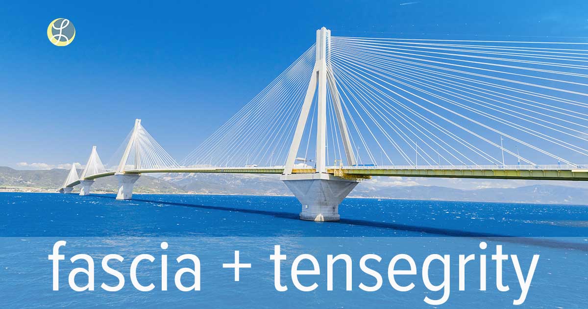 Fascia + Tensegrity - Long Life Movement : Long Life Movement