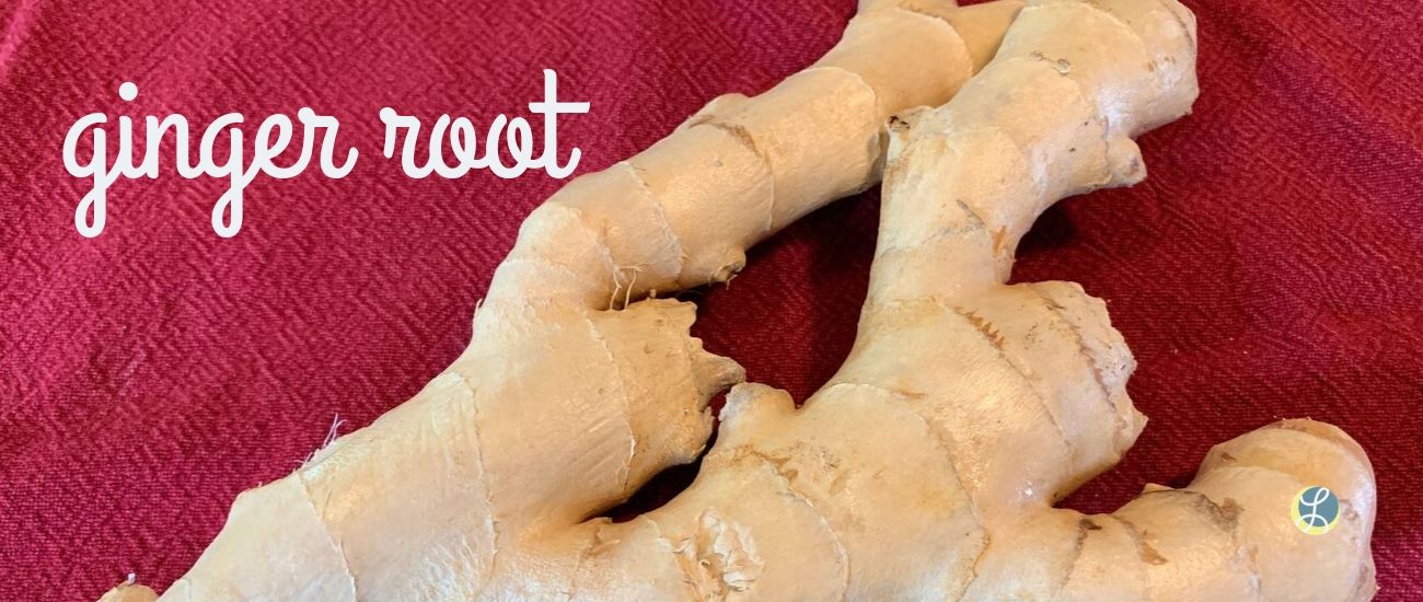 Healing Elixir - Long Life Movement : Long Life Movement