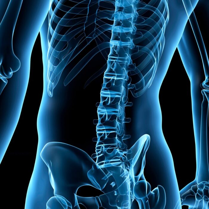 Back Care Basics - Long Life Movement : Long Life Movement